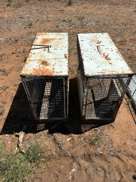 lot 262 - Cages | AuctionsPlus