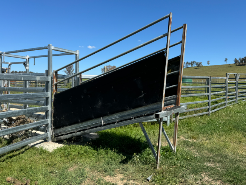 Lot 52 - CATTLE LOADING RAMP | AuctionsPlus