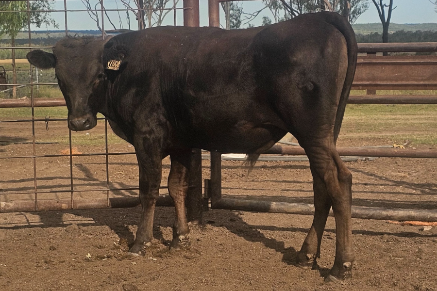 Lot 43 - CARNANA STATION V7008 | AuctionsPlus