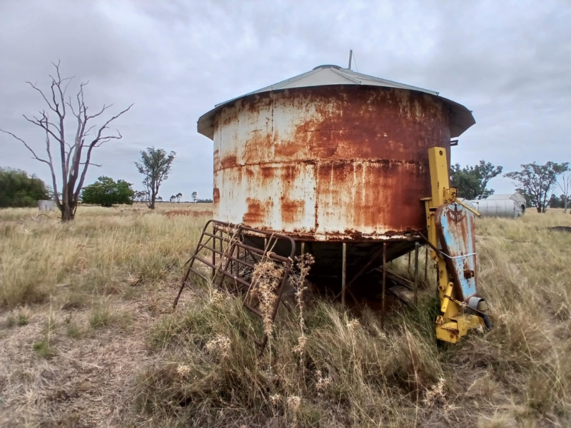 Lot 28 - SAUCERBIN | AuctionsPlus