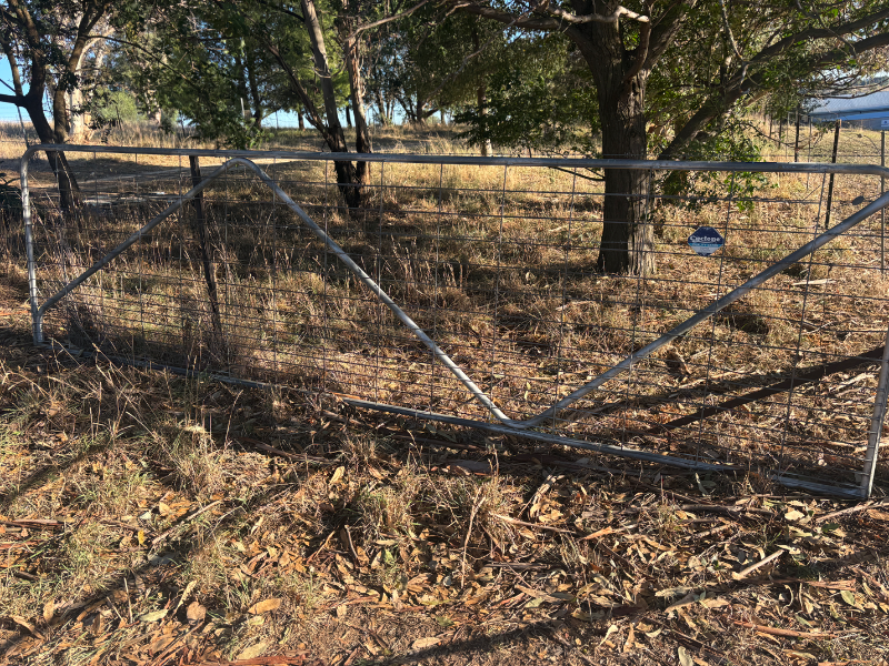 Lot 88 - 1 x Cyclone Gate 4.15 m (14ft ) Gate | AuctionsPlus