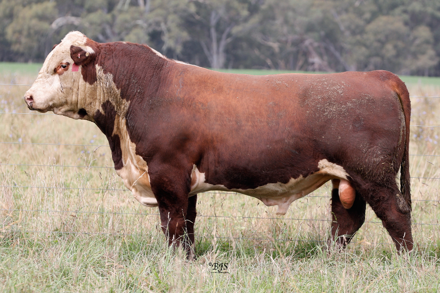 Lot 27 - MAWARRA YAWL U098 (PP) | AuctionsPlus