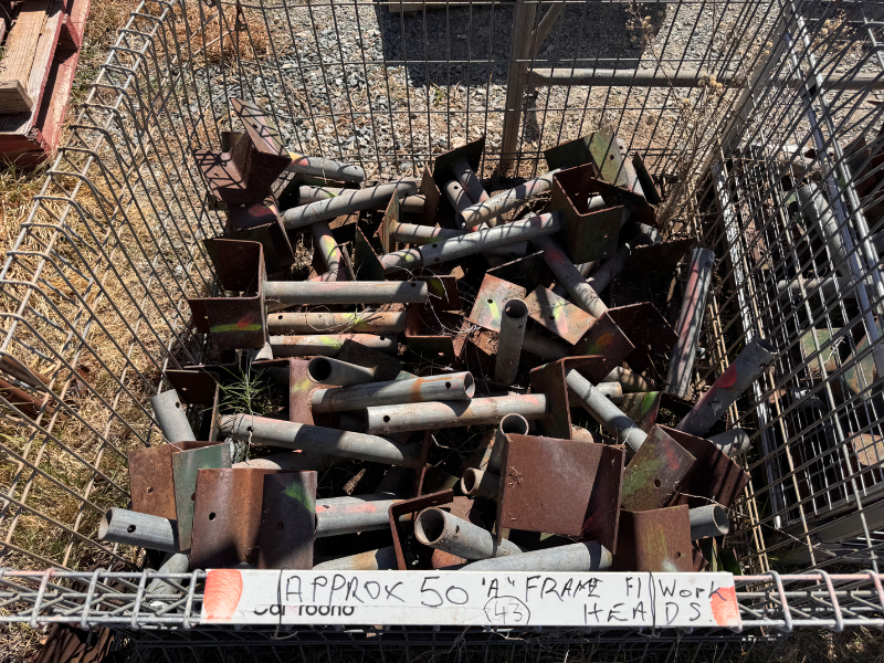 Lot 43 - A Frame Heads. | AuctionsPlus