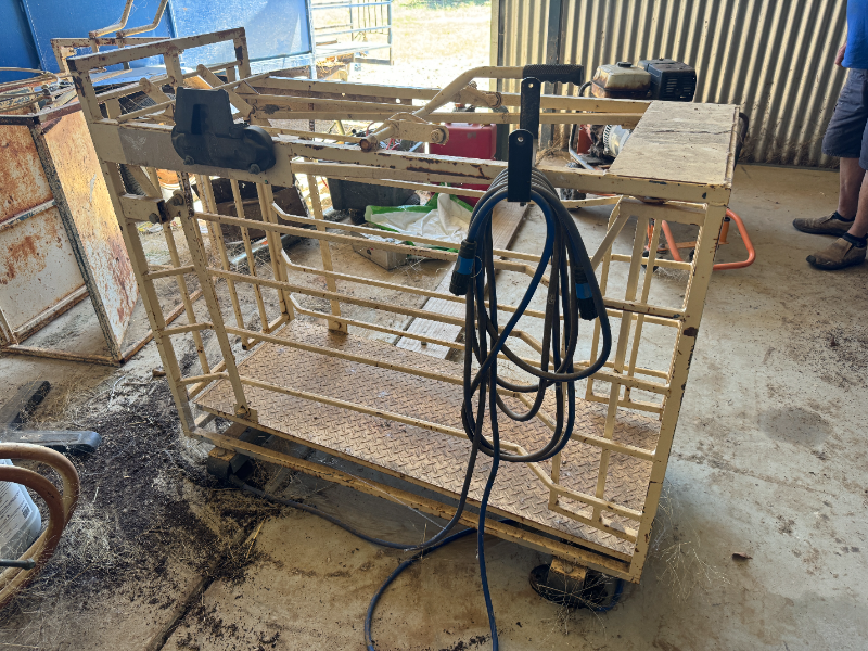 Lot 17 - Thunderbird Digital Sheep Scales/Draft | AuctionsPlus