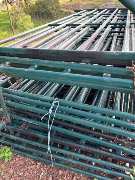 Lot 54 - Livestock Panels | AuctionsPlus