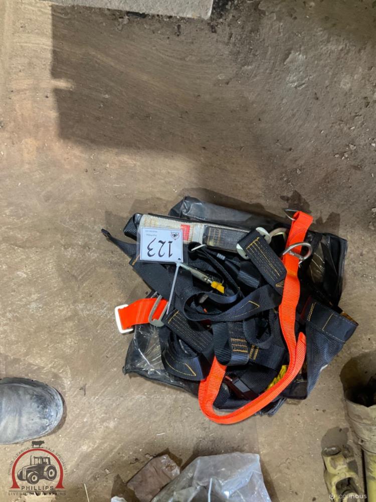 Lot 123 - Safety Harness | AuctionsPlus