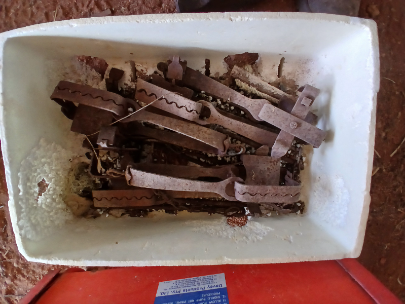 Lot 12 - RABBIT TRAPS | AuctionsPlus