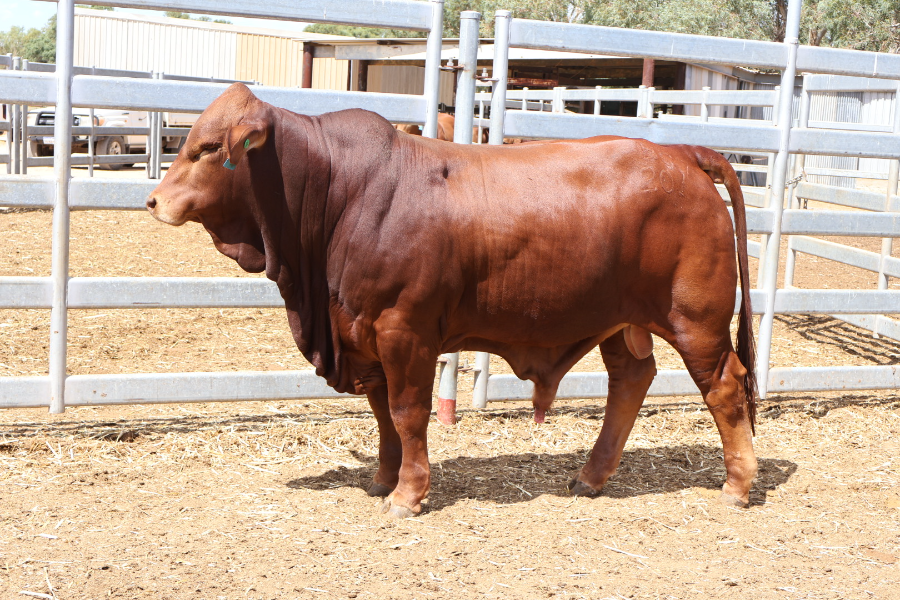 Lot 94 - Fieldhouse BC7 #201 (PP) | AuctionsPlus