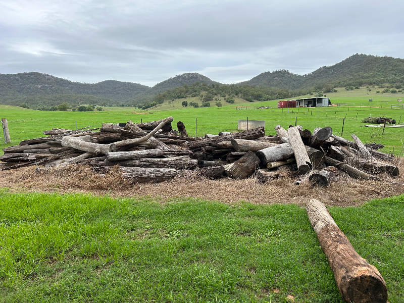 Lot 172 - PILE OF TIMBER POSTS | AuctionsPlus