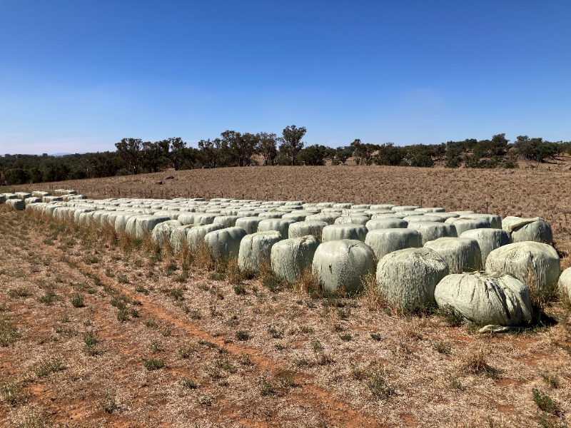 Lot 10 - 20 x silage rounds | AuctionsPlus
