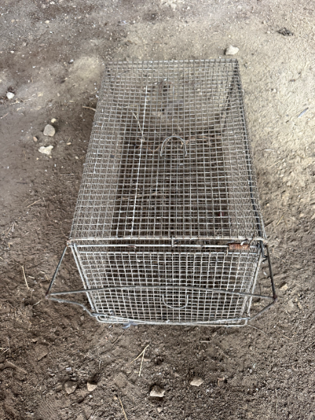 Lot 335 - VERMIN TRAP | AuctionsPlus