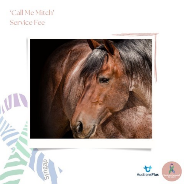 Lot 6 - Call Me Mitch' - Service Fee | AuctionsPlus