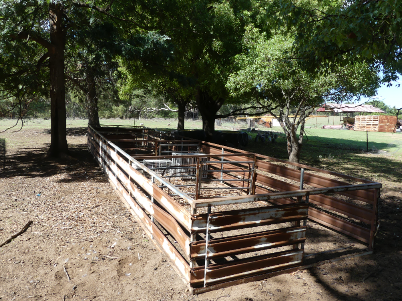 Lot 406 - 40ft Sheep Crate | AuctionsPlus