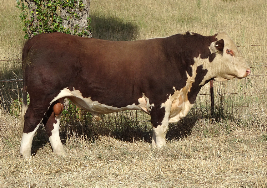Lot 24 - STANFORD ULYSSES U192 (PP) | AuctionsPlus