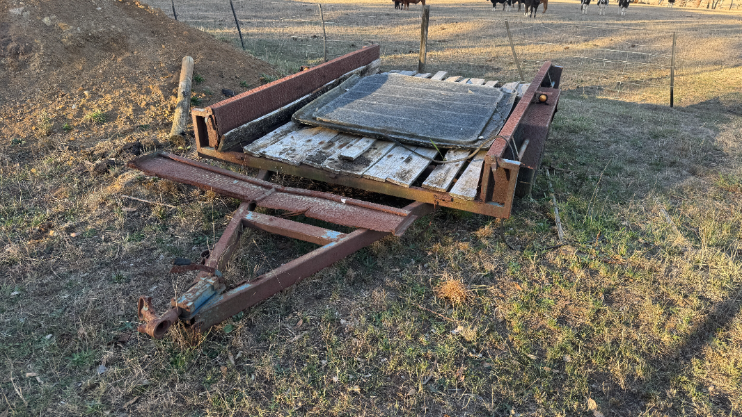 Lot 655 - TANDEM TRAILER | AuctionsPlus