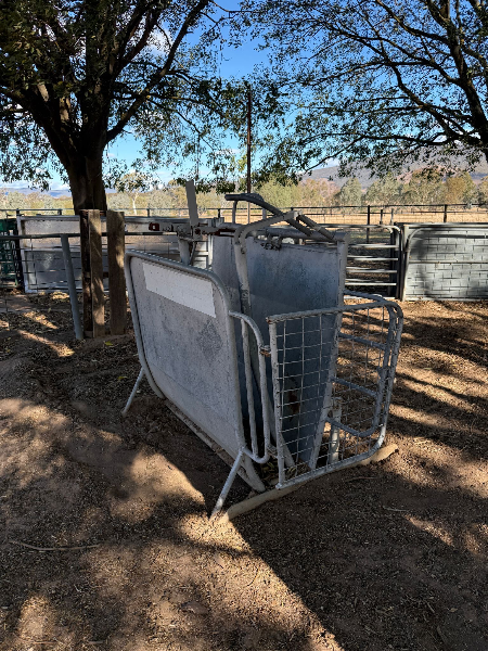 Lot 524 - Sheep Handler | AuctionsPlus