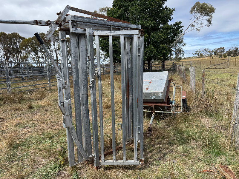 Lot 51 - Cattle Head bale | AuctionsPlus