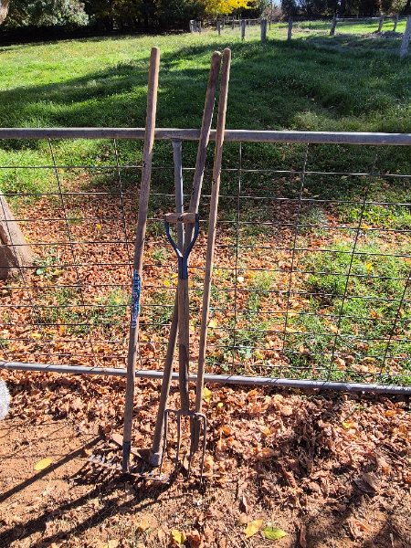 Lot 54 - Assorted Garden Tools | AuctionsPlus