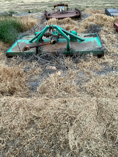 Lot 40 - Slasher | AuctionsPlus