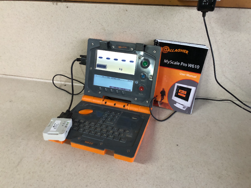 Lot 167 - GALLAGHER W610 SCALE HEAD WITH BLUETOOTH ADAPTER | AuctionsPlus