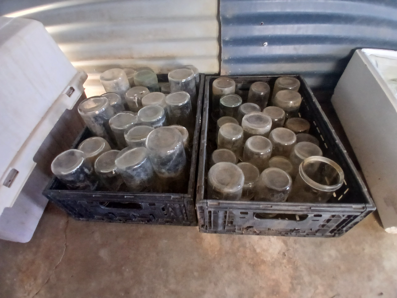 Lot 346 - FOWLER JARS | AuctionsPlus