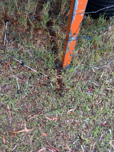 Lot 191 - SHERWIN SILO | AuctionsPlus