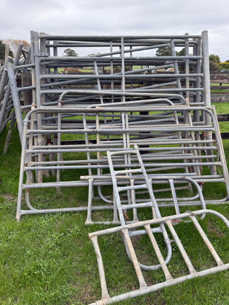 Lot 267 - Cattle Yards | AuctionsPlus