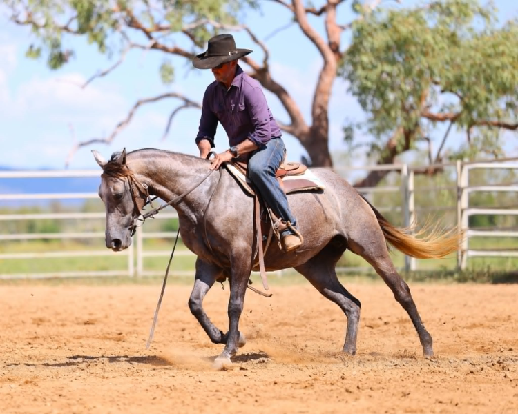 Lot 44 - RAINTREE POISON IVY RAY - HSH | AuctionsPlus