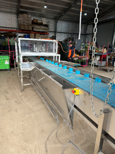 Lot 31 - FLOWER & VEGETABLE PROCESSING LINE/BUNCHING MACHINE ...