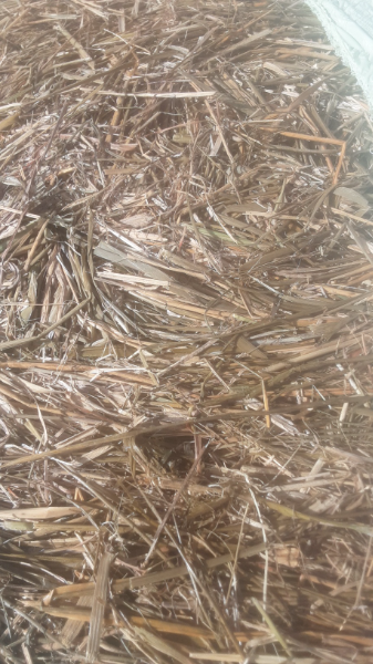 Lot 124 - Silage - 40 bales | AuctionsPlus