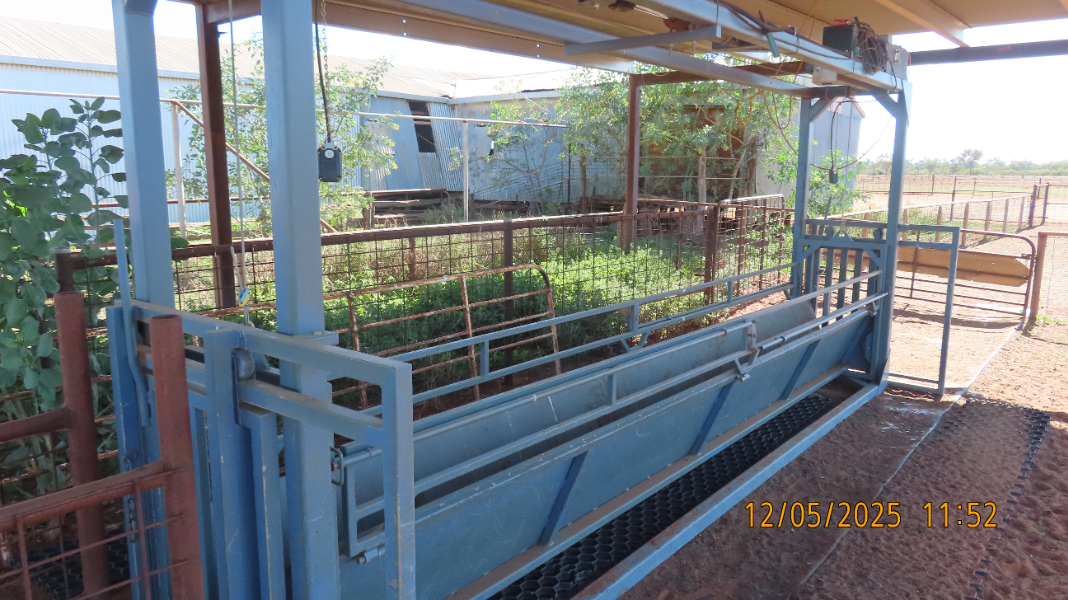 Lot 10 - Stock Lifter | AuctionsPlus