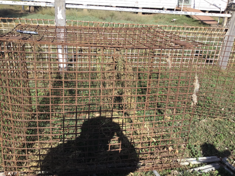 Lot 143 - MESH CAGE | AuctionsPlus