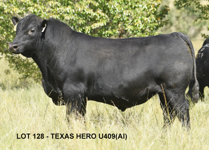 Lot 128 - TEXAS HERO U409 | AuctionsPlus