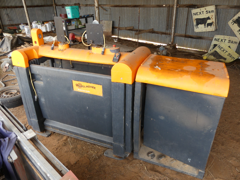 Lot 389 - Gallagher Sheep Scales and Auto Drafter | AuctionsPlus