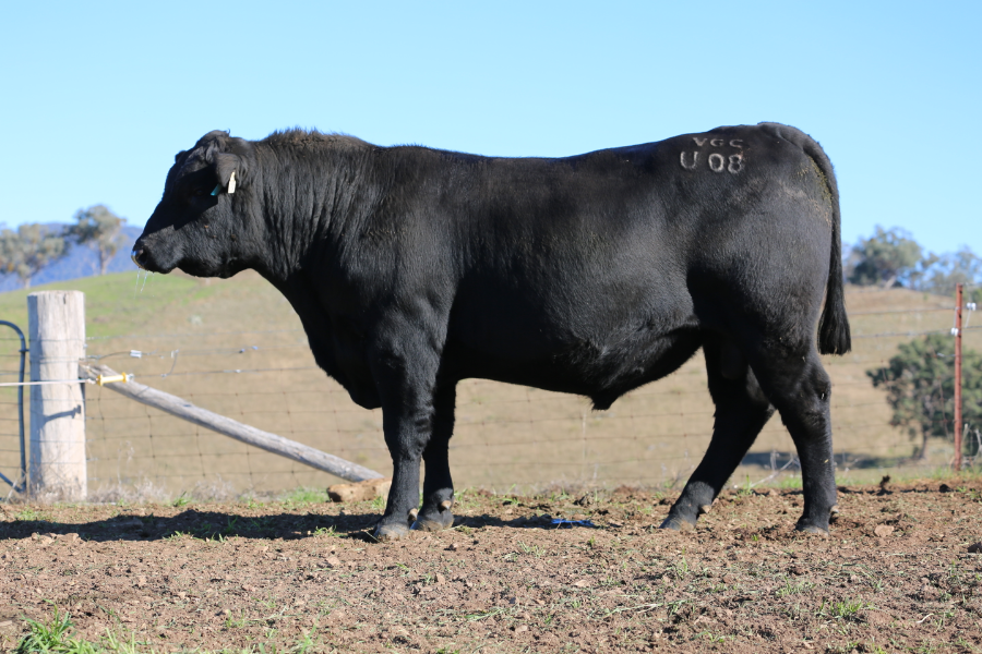 Lot 5 - VIELUN PARATROOPER U08 | AuctionsPlus