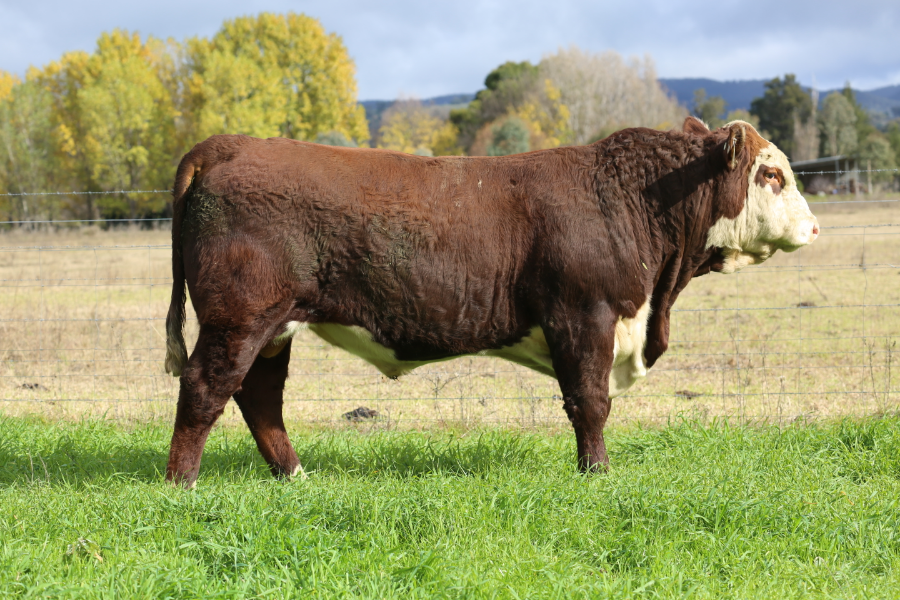 Lot 19 - VP REDFORD U116 (PP) | AuctionsPlus