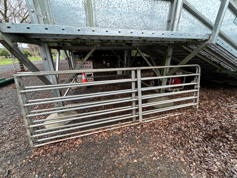 PORTABLE SHEEP YARD GATES | AuctionsPlus