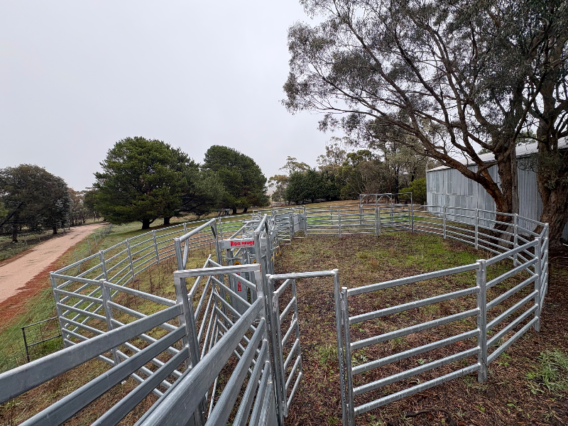 Lot 417 - RED RIVER CATTLE YARDS | AuctionsPlus