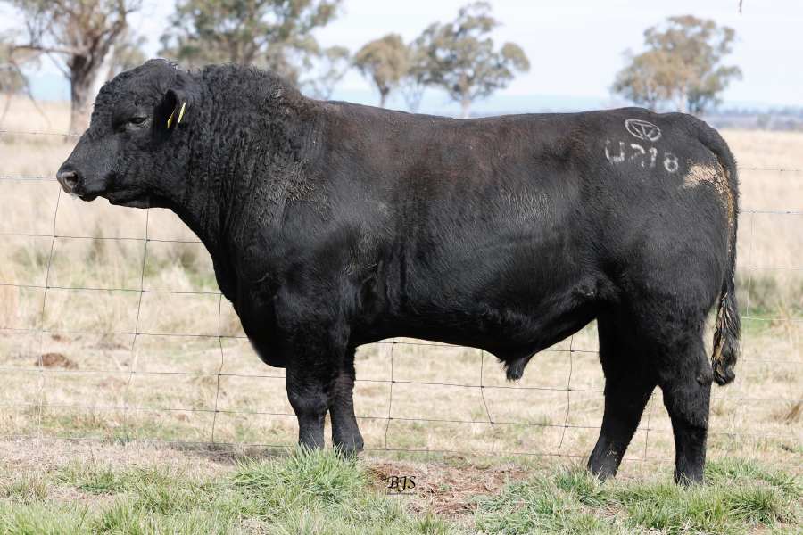 Lot 53 - TIVOLI COMPASS U218 | AuctionsPlus