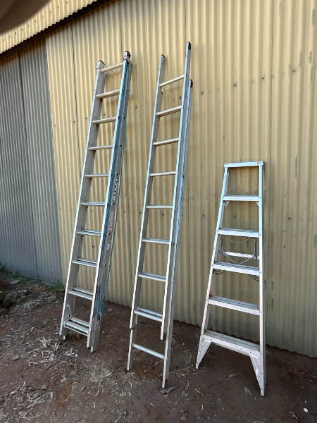 Lot 172 - 2x Extendable Ladders & 6ft Step Ladder | AuctionsPlus