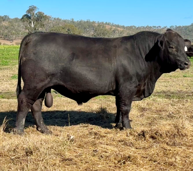 Lot 32 - MARCELLA WORLD TRAVELLER U393 (U) (P) | AuctionsPlus