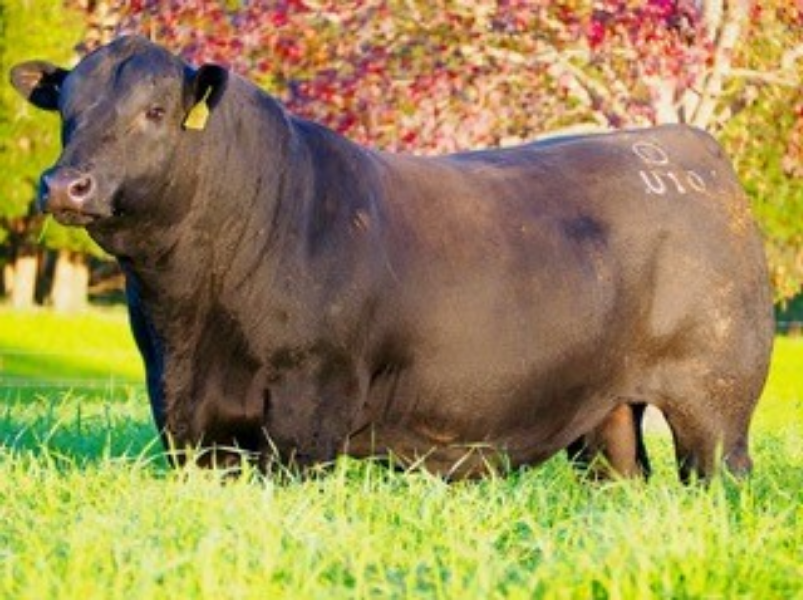 Lot 4 - FRANKLIN SCALEHOUSE U10 | AuctionsPlus