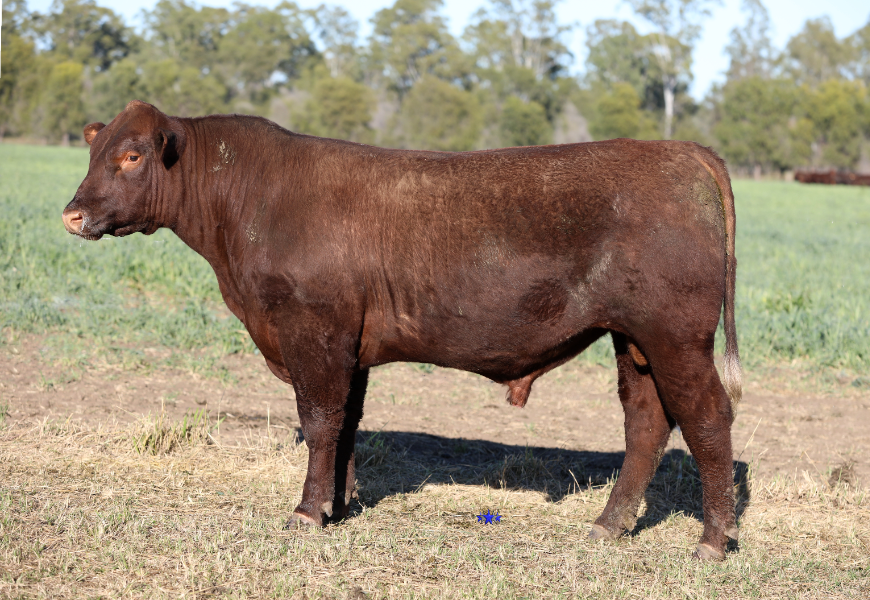 Lot 21 - TROJON Upperhand 27U | AuctionsPlus