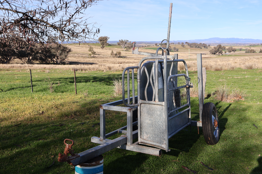 Lot 158 - Beef Boss Calf Cradle | AuctionsPlus
