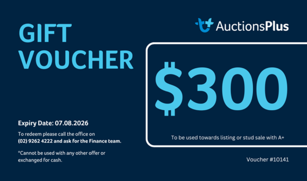 Lot 9 - AuctionsPlus Voucher | AuctionsPlus