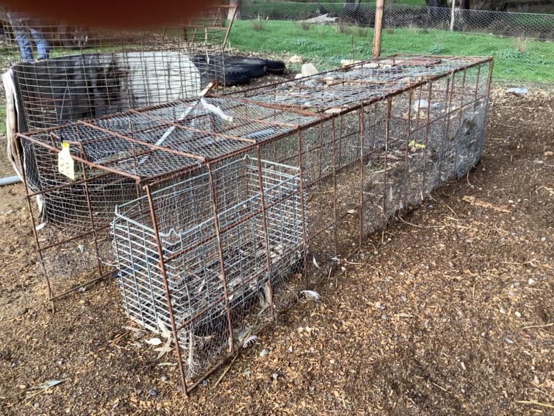 Lot 38 - Long bird cage | AuctionsPlus
