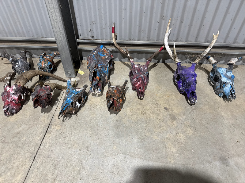 Lot 114 - Antlers | AuctionsPlus