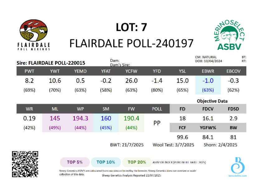 Lot 7 - Tag - 24-0197 | AuctionsPlus