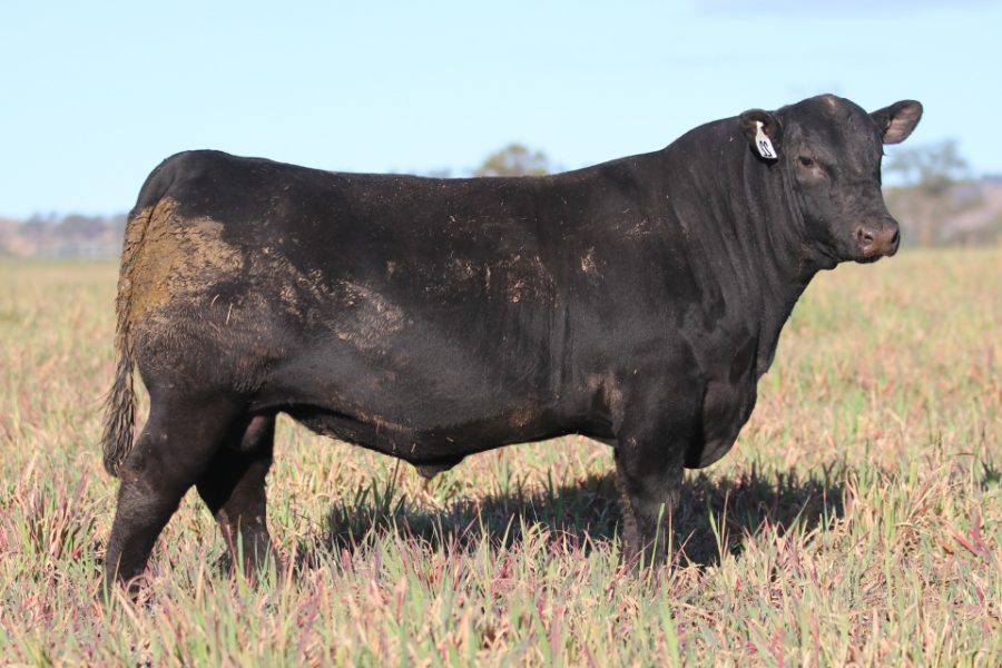 Lot 22 - 3RLS CRAFTSMAN V044 | AuctionsPlus