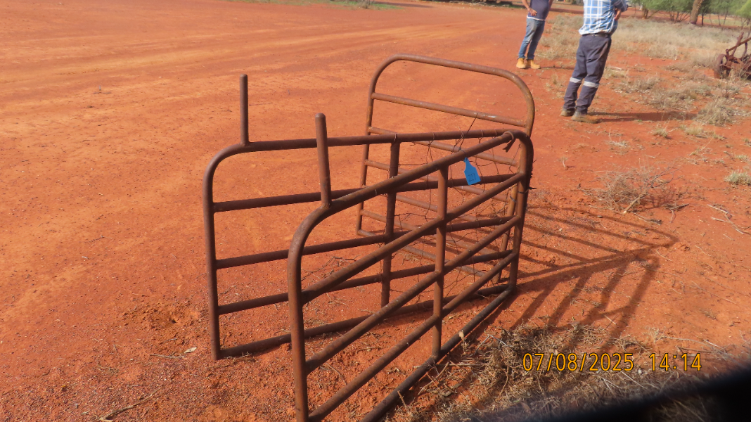 Lot 227 - Sheep Yard Draft Gates | AuctionsPlus